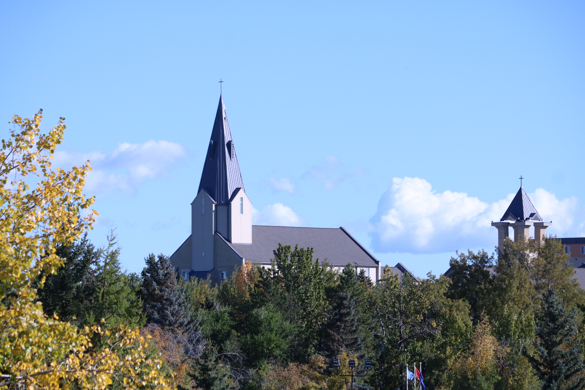 Young Adults - St. Joseph Roman Catholic Church